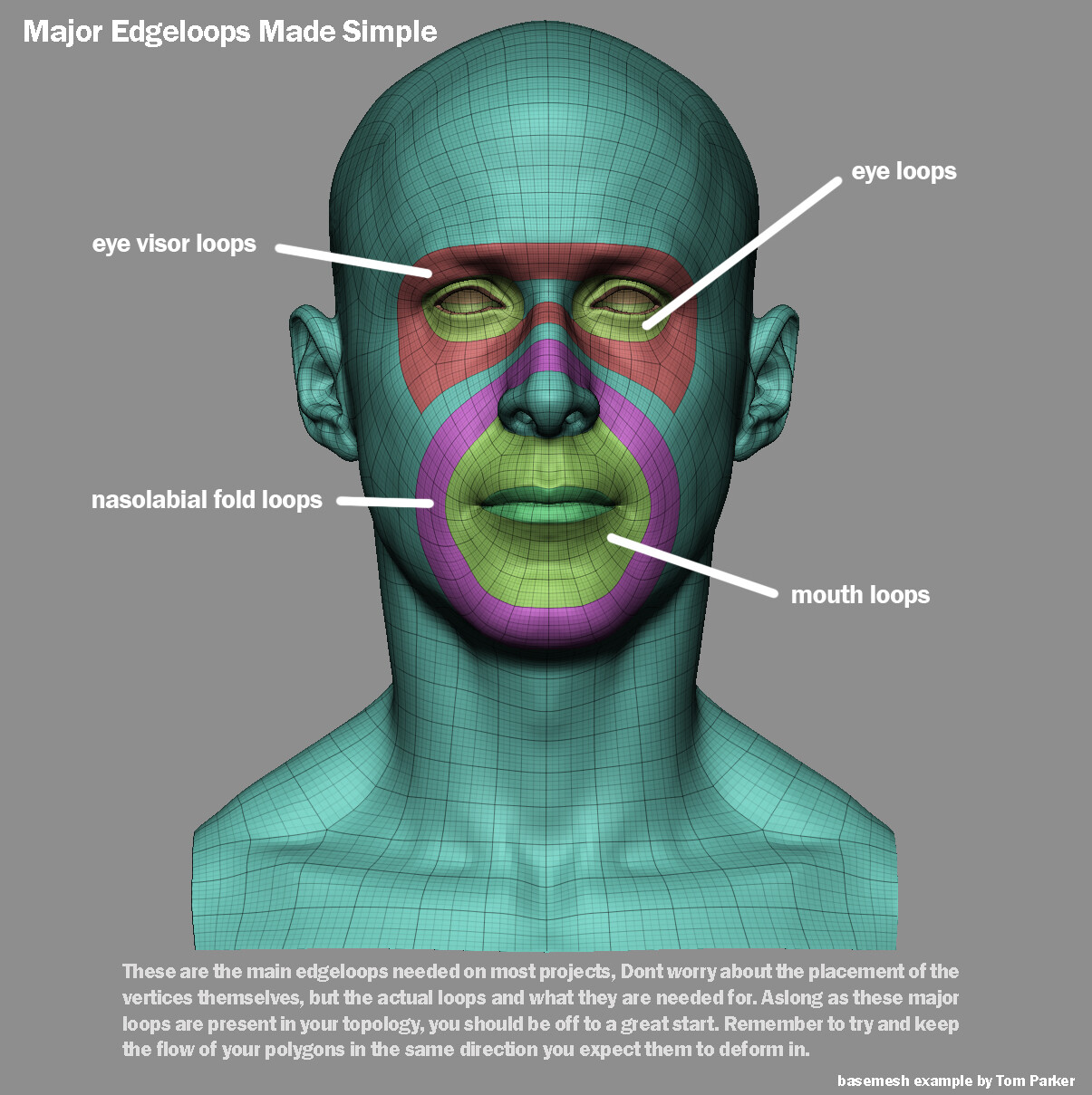 Face Topology 101: Key Concepts for Beginners - Shapelab