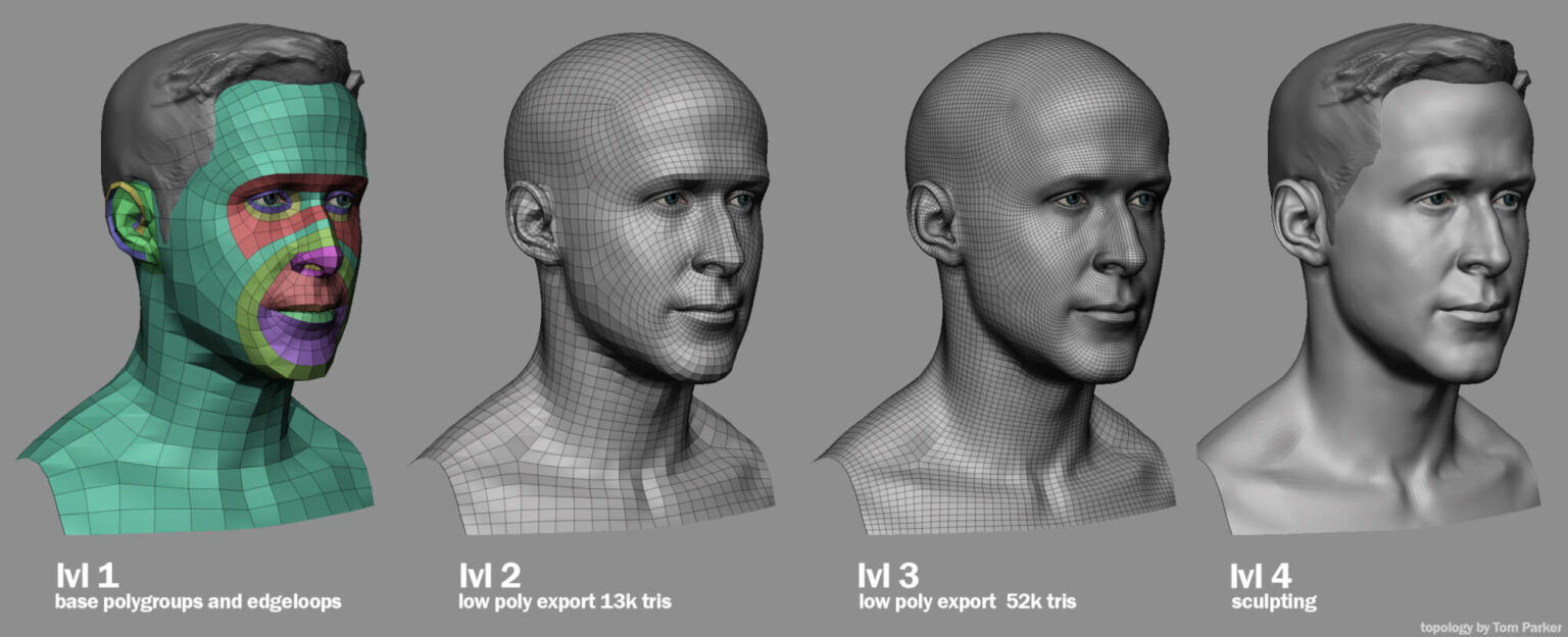 Face Topology 101: Key Concepts for Beginners - Shapelab