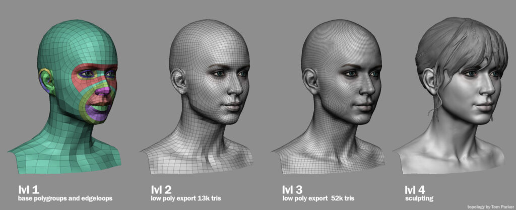 Face Topology 101: Key Concepts for Beginners - Shapelab