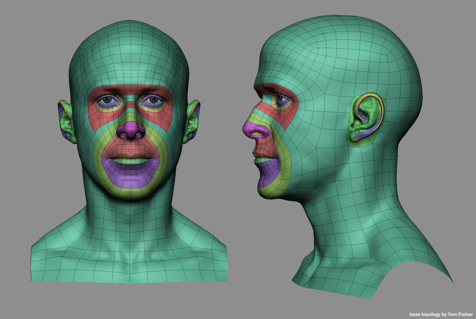 Face Topology 101: Key Concepts for Beginners - Shapelab
